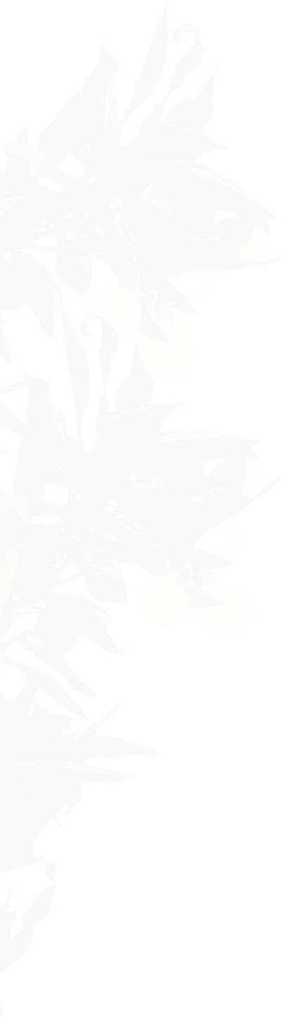 Citadelle Gin | Citadelle Gin Original