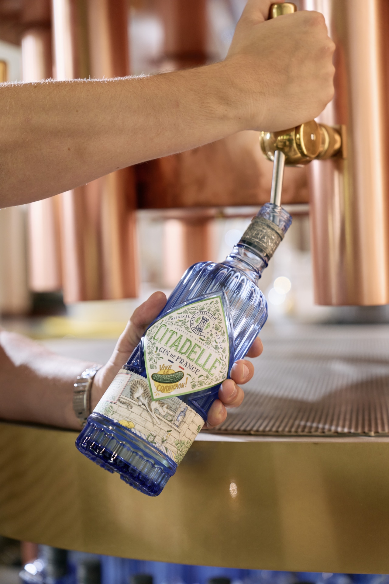 Citadelle Gin | French Gin Brand | Premium, Boutique Gin